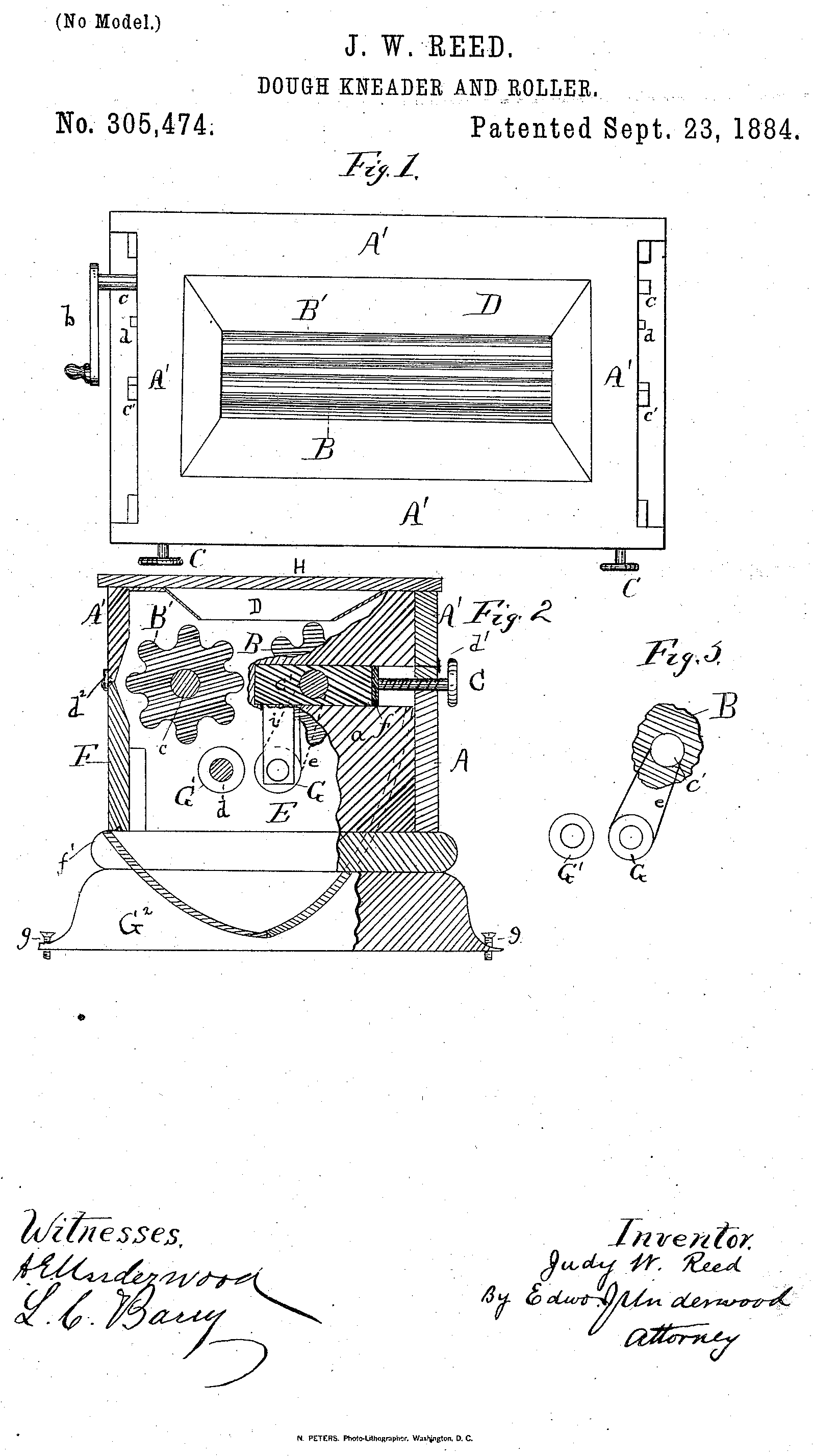 Judy W. Reed - KOLUMN Magazine